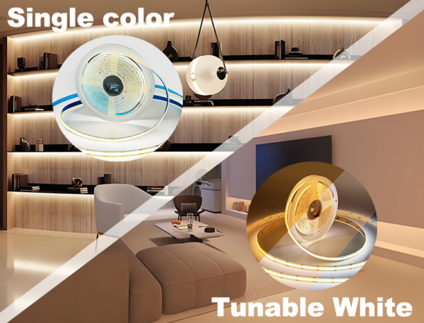Renovation Lighting Guide: Choosing Between Single-Color and Tunable ...